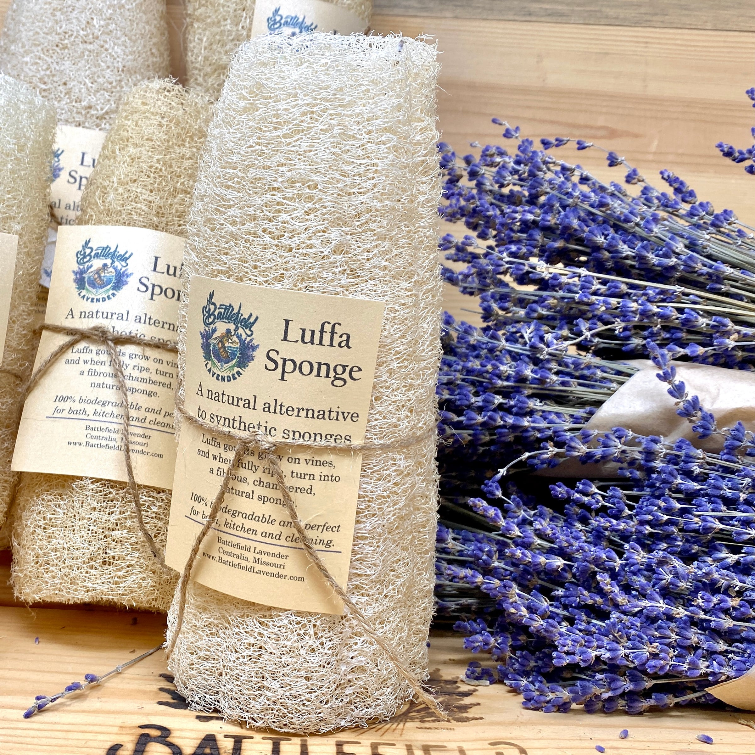 Natural Luffa Sponge (various sizes) | Battlefield Lavender