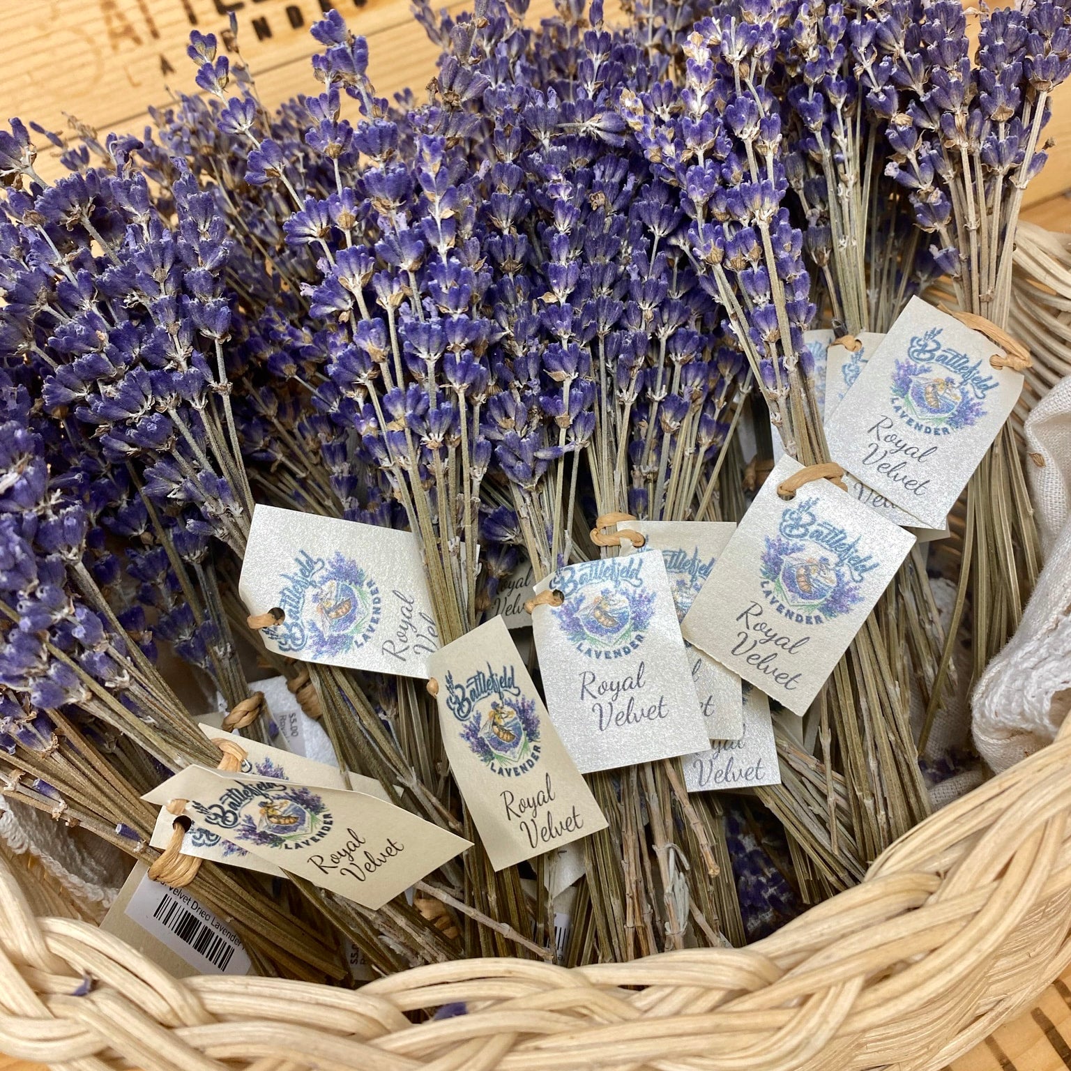 Royal Velvet Dried Lavender Petite Bundle | Battlefield Lavender