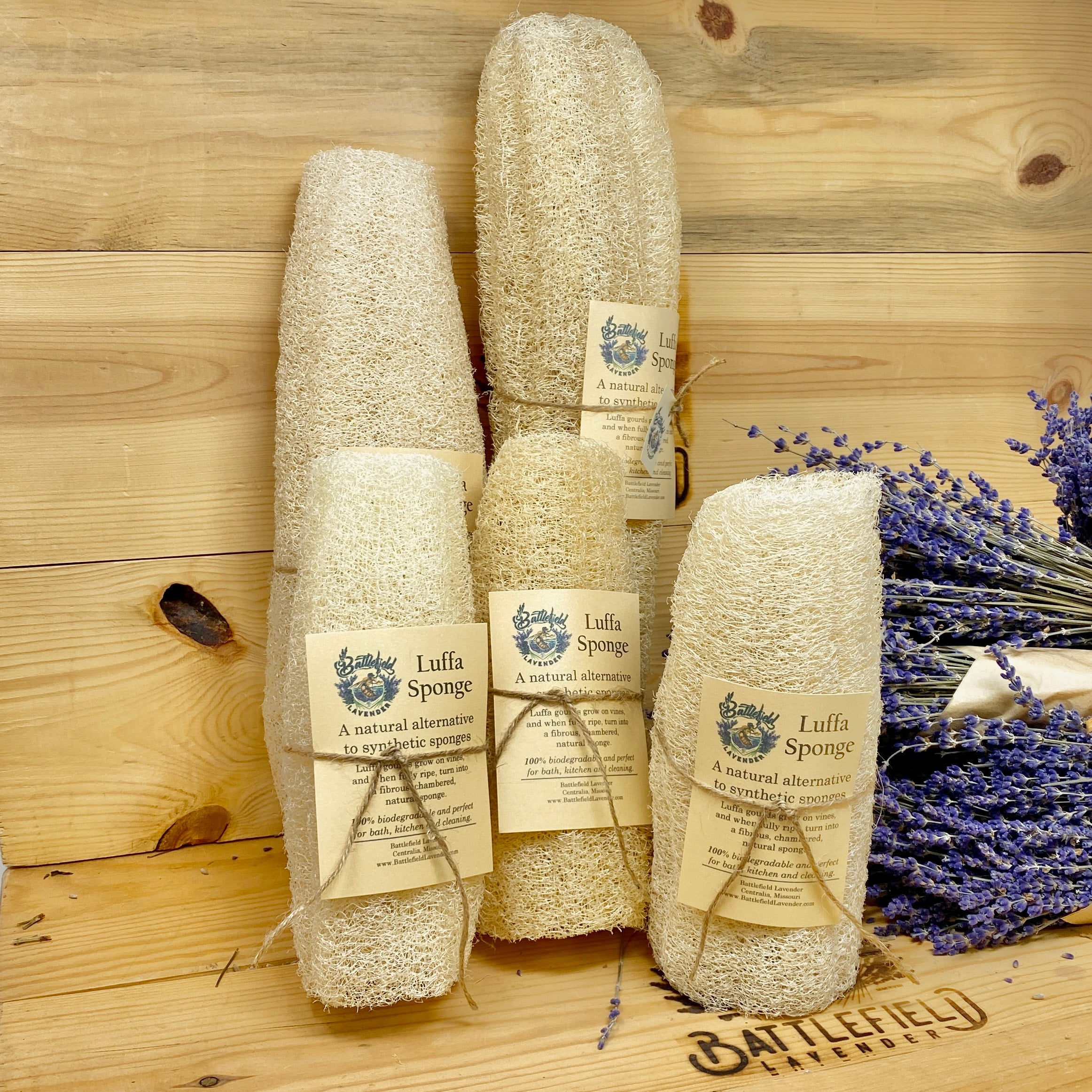Natural Luffa Sponge (various sizes) | Battlefield Lavender